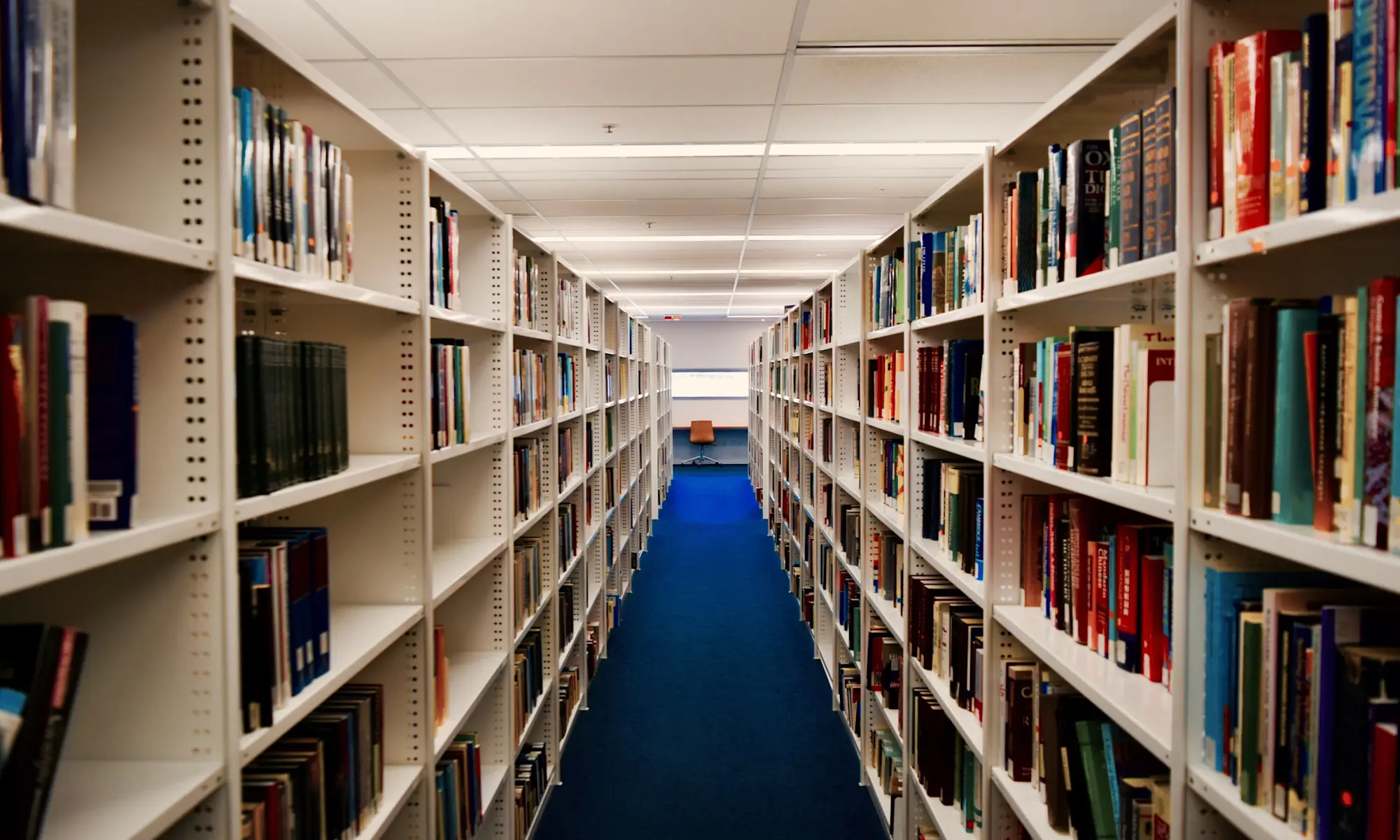 Which is the best channel to Australia’s edtech market? - myNZTE