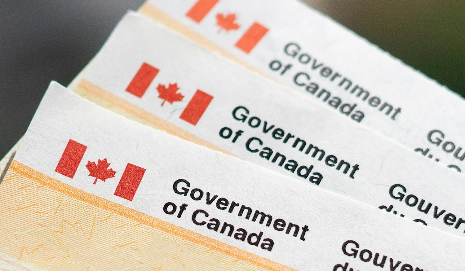 Canada Market Guide - myNZTE
