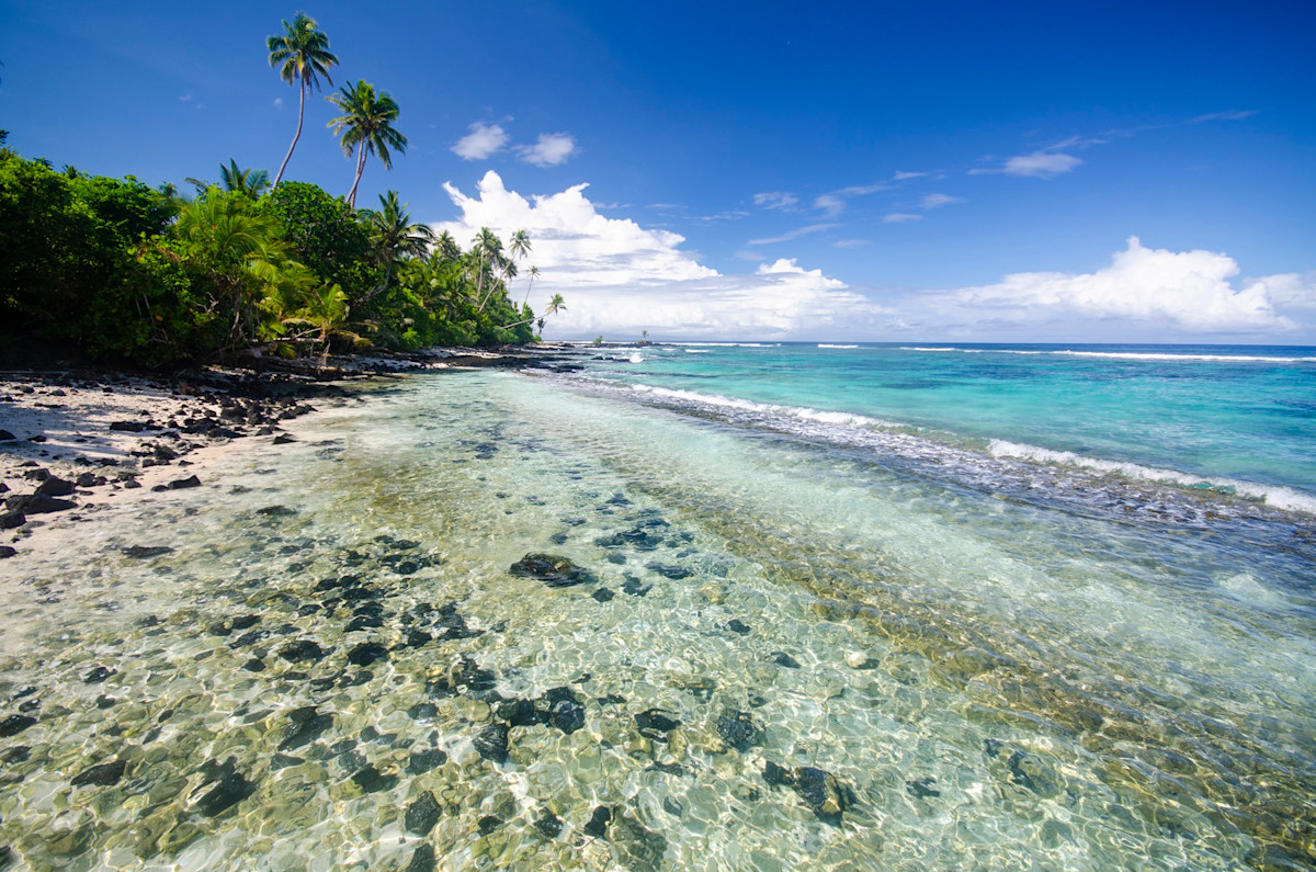 Pacific Islands Market Guide - myNZTE