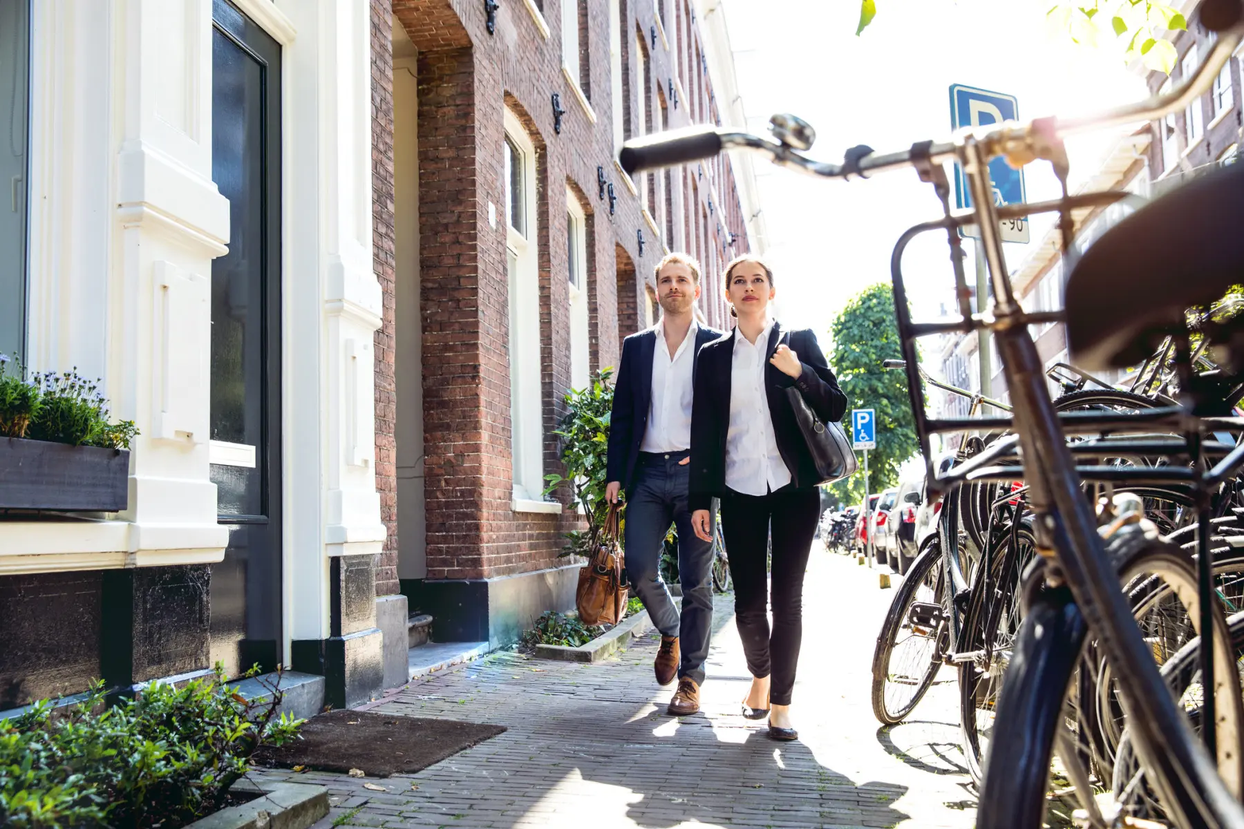 Planning your market entry into the Netherlands - myNZTE