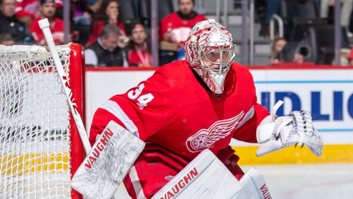 Ottawa Senators vs. Detroit Red Wings Prediction: Can Alex Lyon, Red ...
