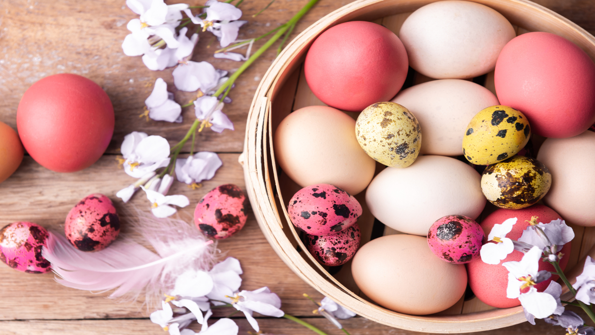 Casino Insight | News, Welcome Bonuses & Promos | Oddschecker