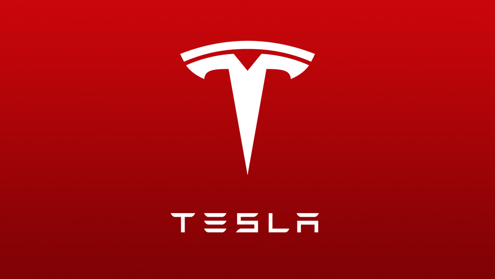 Meet the team behind Tesla | The Org