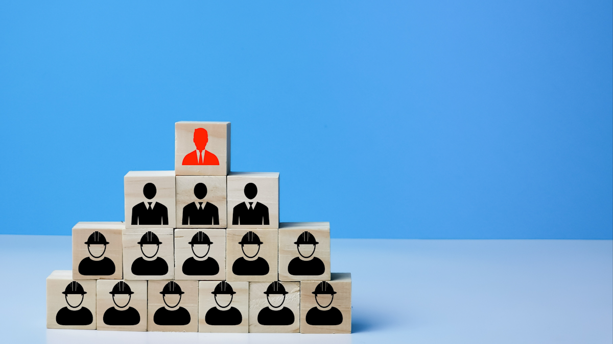 5 Main Types of Company Reporting Structures | The Org