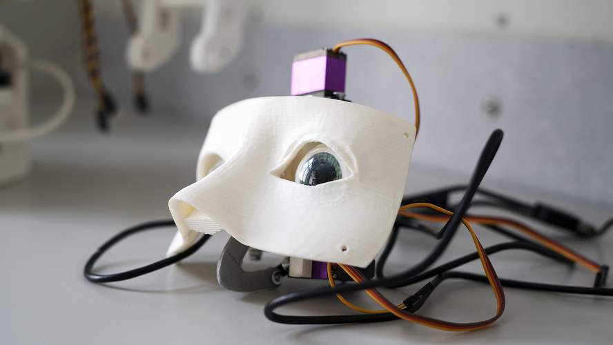 Making of a Social Robot