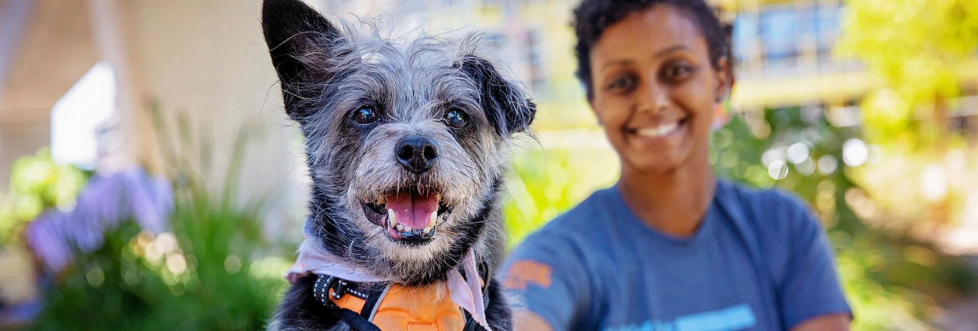 Don’t miss Best Friends’ Strut Your Mutt this weekend