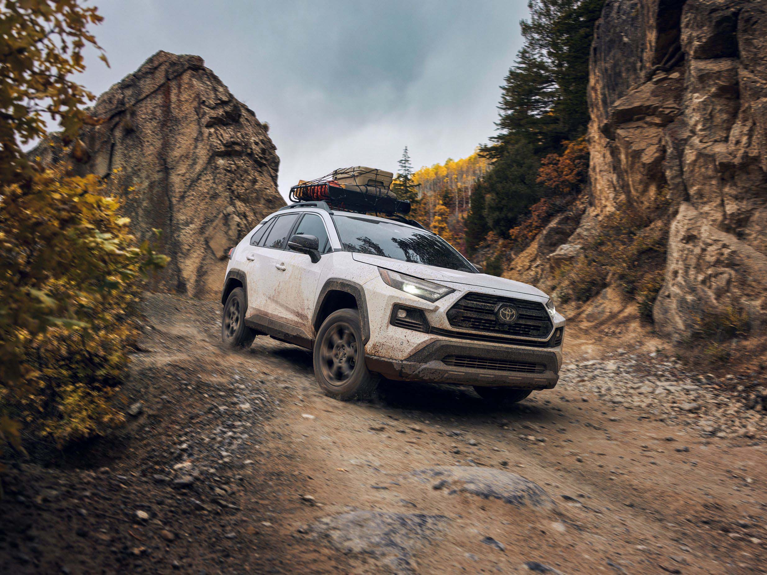 Acura unveils a performance oriented EV crossover and a track-tuned ...