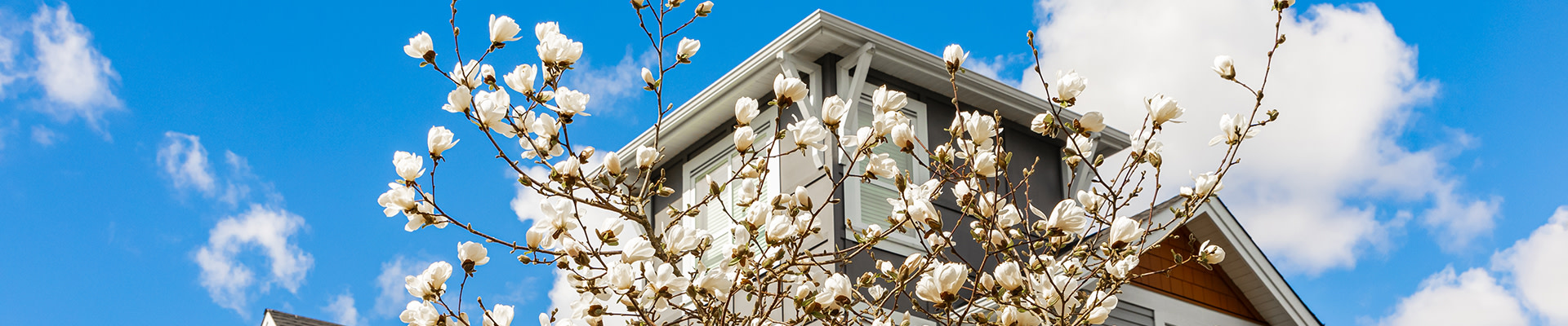 Spring home buying is heating up: Utah housing trends show its time to ...