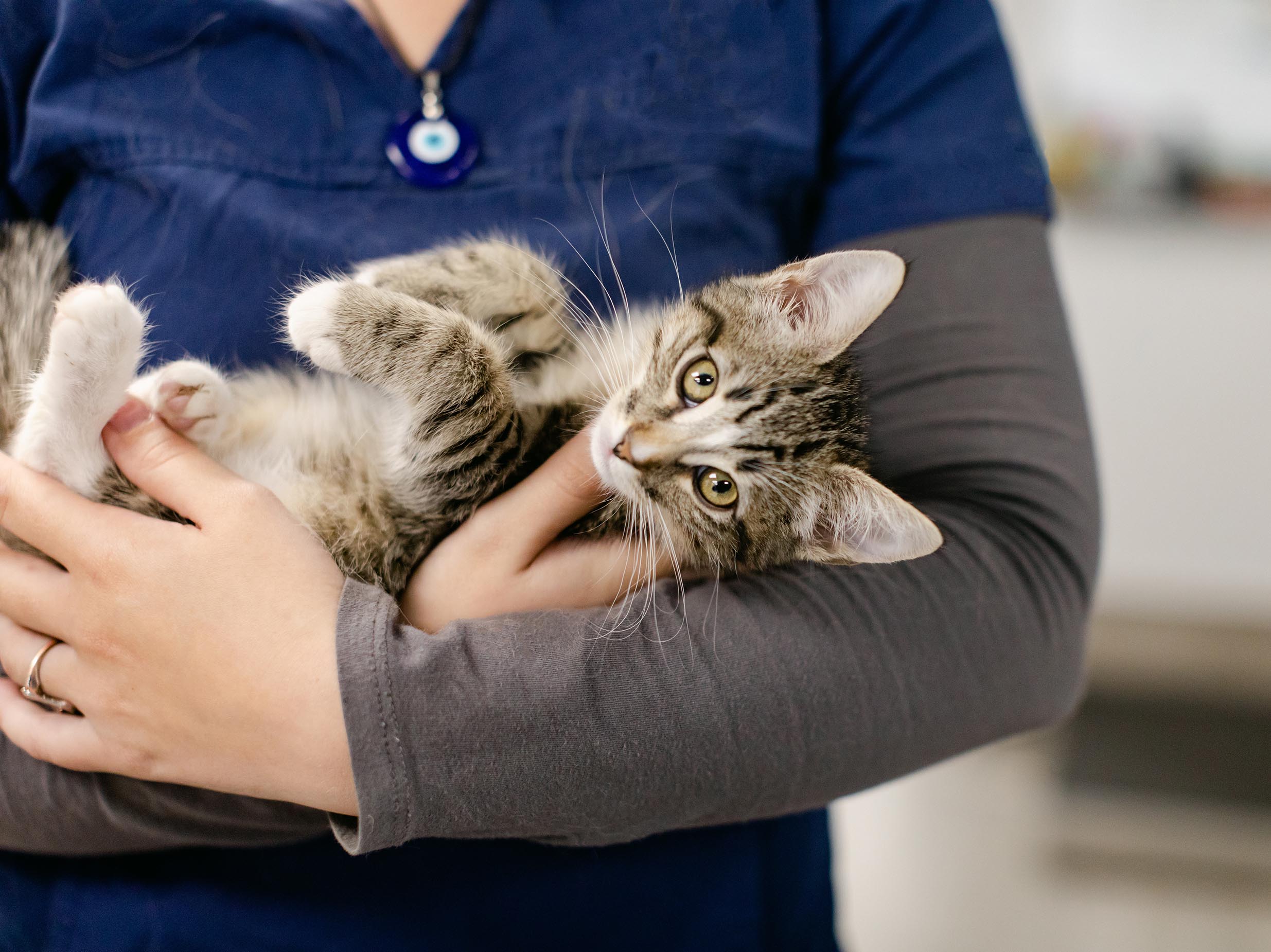 Utah’s biggest summer concerts of 2024