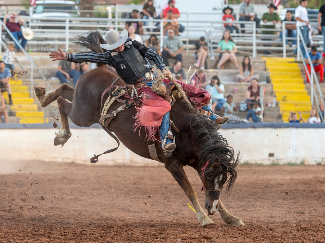 Giddy up to the Dixie Sunbowl for the 2024 Spring Rodeo Roundup