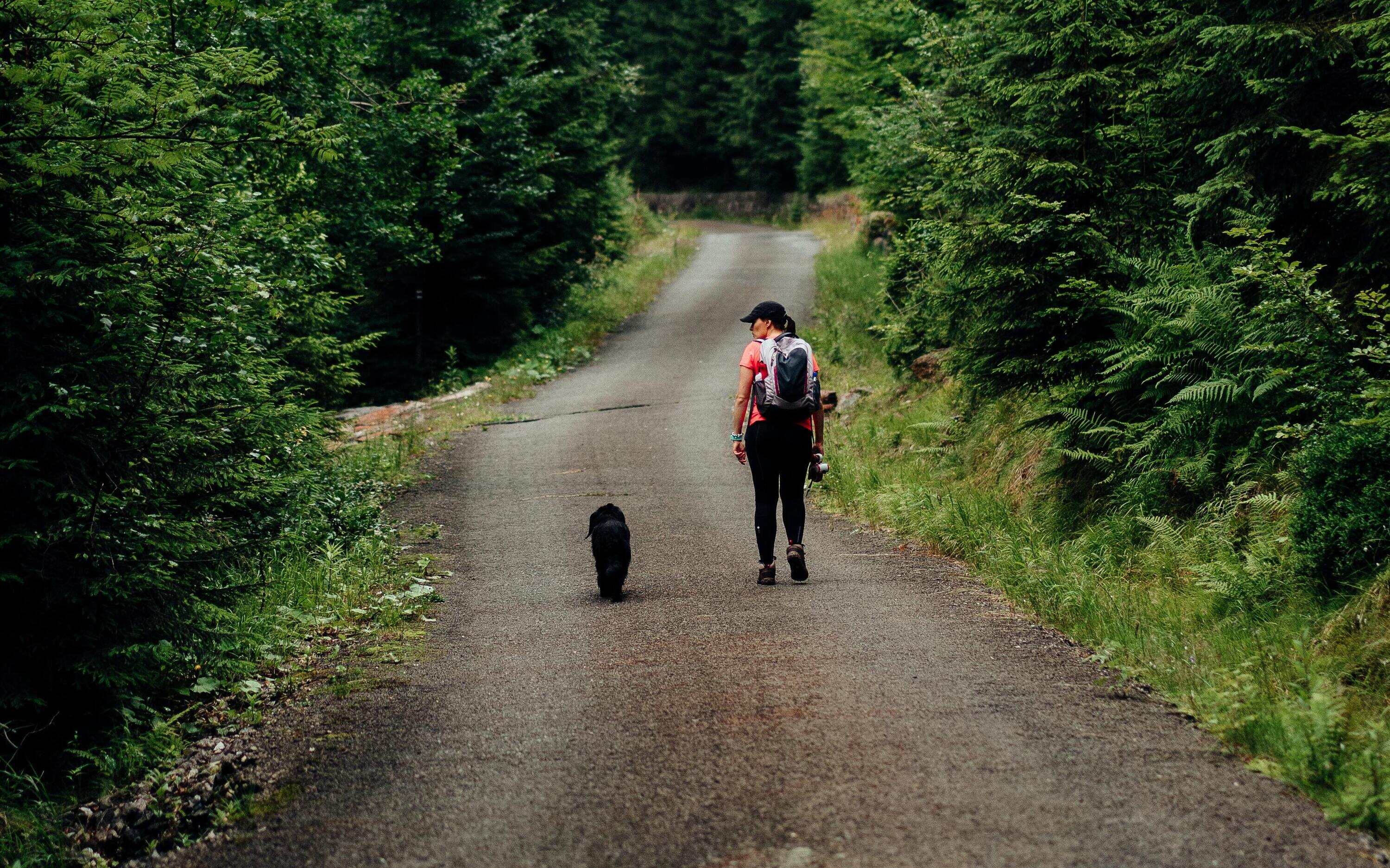 Tail waggin’ and trail baggin’