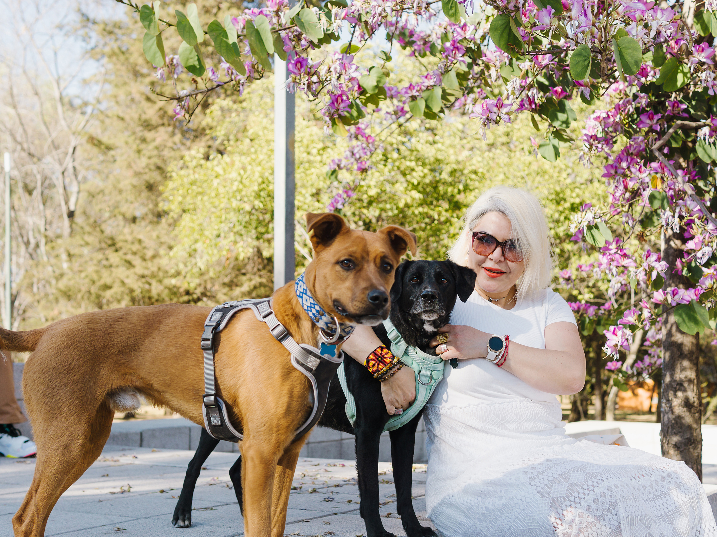 It’s a whole mood: How switching up room lighting can change the vibe ...
