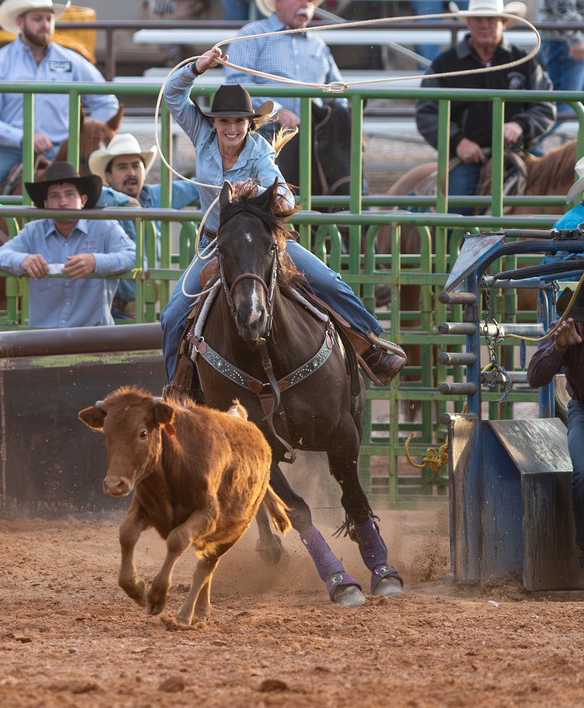 Giddy up to the Dixie Sunbowl for the 2024 Spring Rodeo Roundup