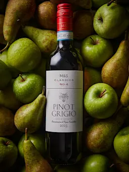 White Wine Varieties: The Beginner Guide | M&S Food