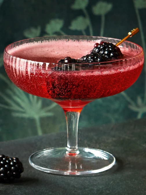 Ultimate Guide to the Best Gins | M&S Food