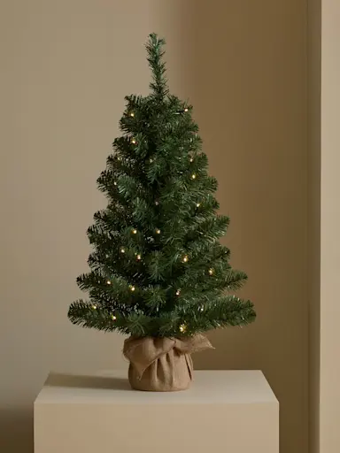 Buying Guide: How To Choose A Christmas Tree | M&S