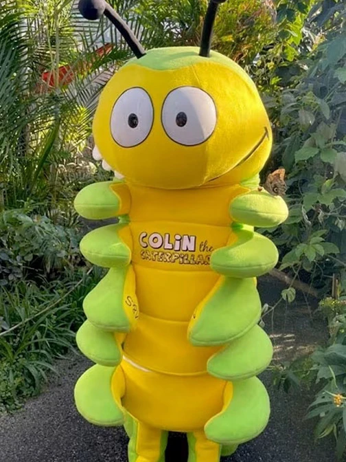 Colin the Caterpillar