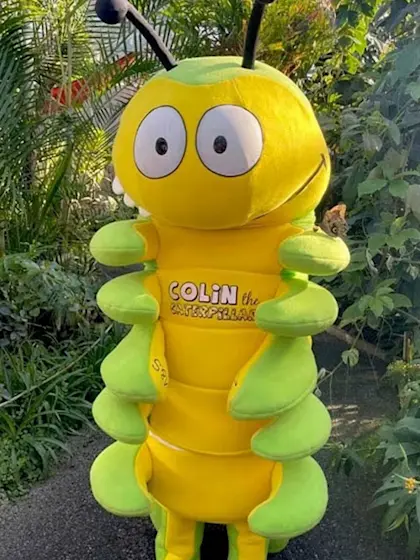 Colin the Caterpillar