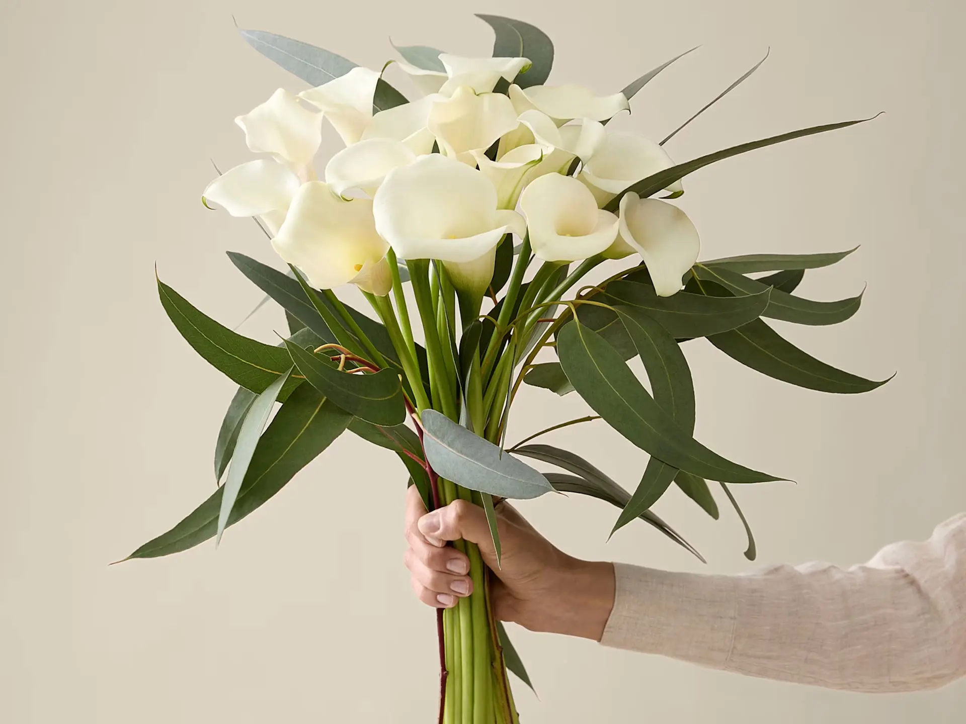 Celebrity Bouquets | M&S