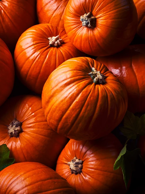 How to carve a Halloween pumpkin | M&S Food