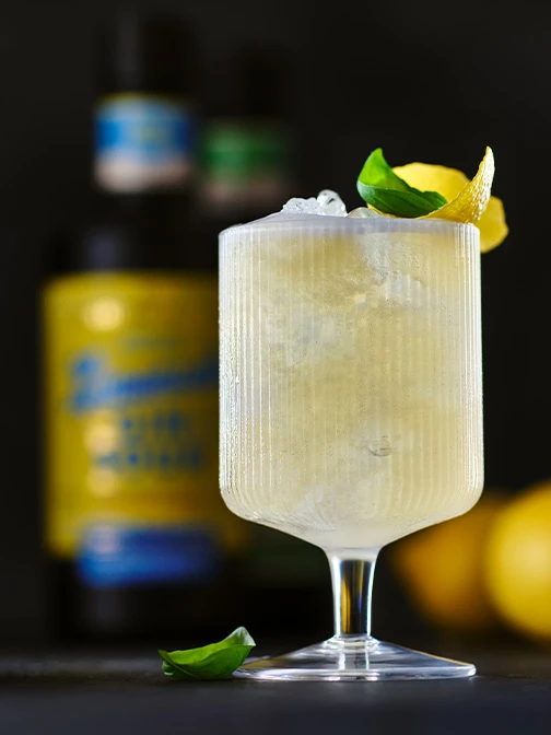 Ultimate Guide to the Best Gins | M&S Food