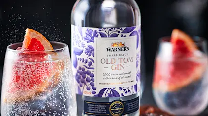Ultimate Guide to the Best Gins | M&S Food