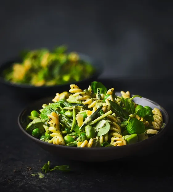 Our Best Ever 6 Posh Dogs | M&S