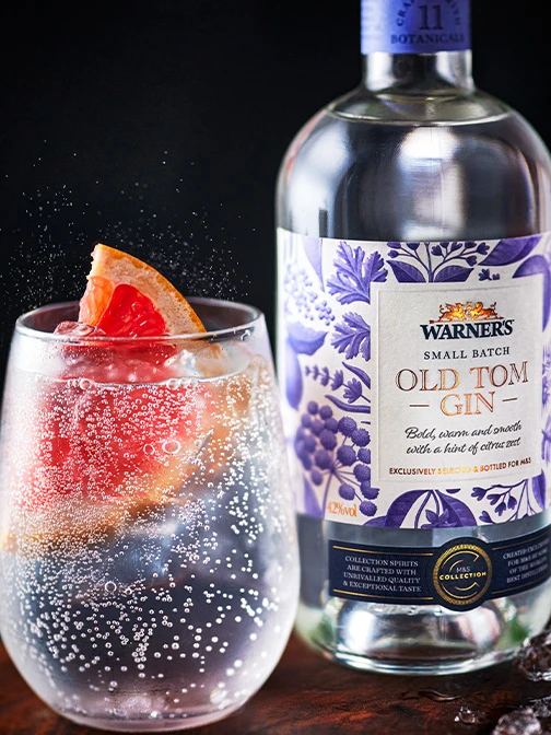 Ultimate Guide to the Best Gins | M&S Food