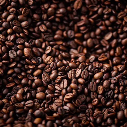 About Our Coffee | M&S Food