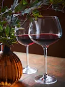 The Beginner Guide to Red Wine | M&S Food