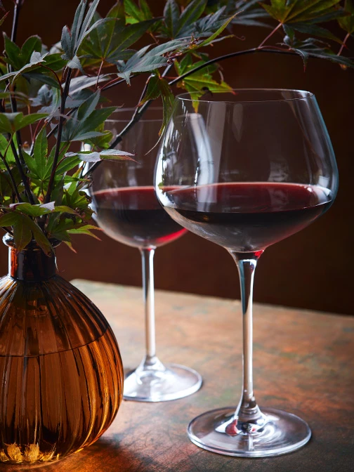 The Beginner Guide to Red Wine | M&S Food