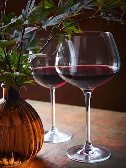 The Beginner Guide to Red Wine | M&S Food