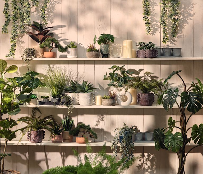 Indoor Plants at M&S