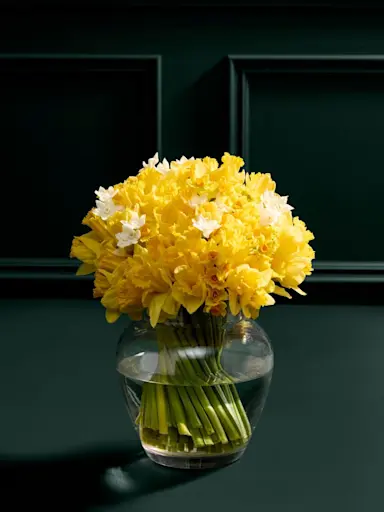 Guide to British Spring Flowers | M&S