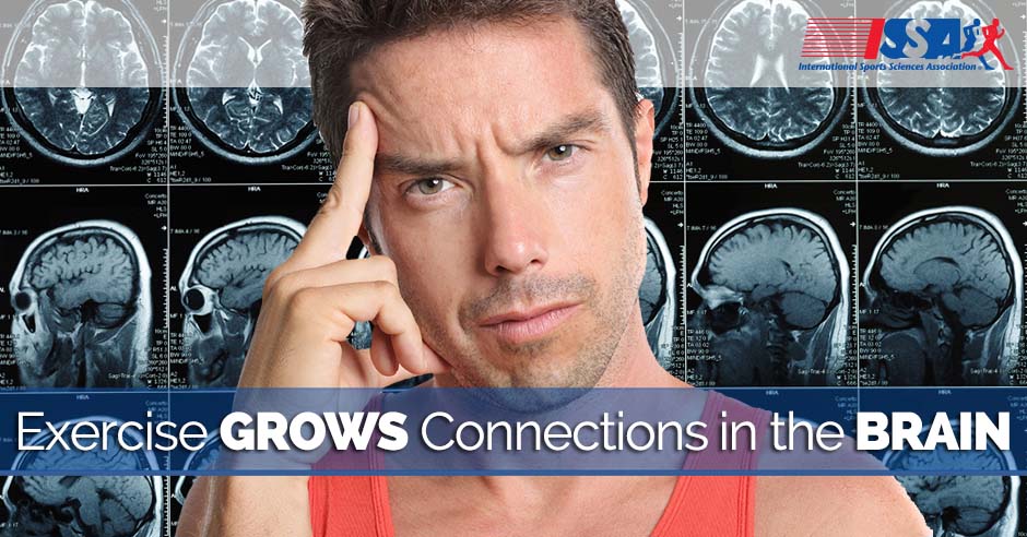 Exercise and Growing Connections in the Brain | ISSA