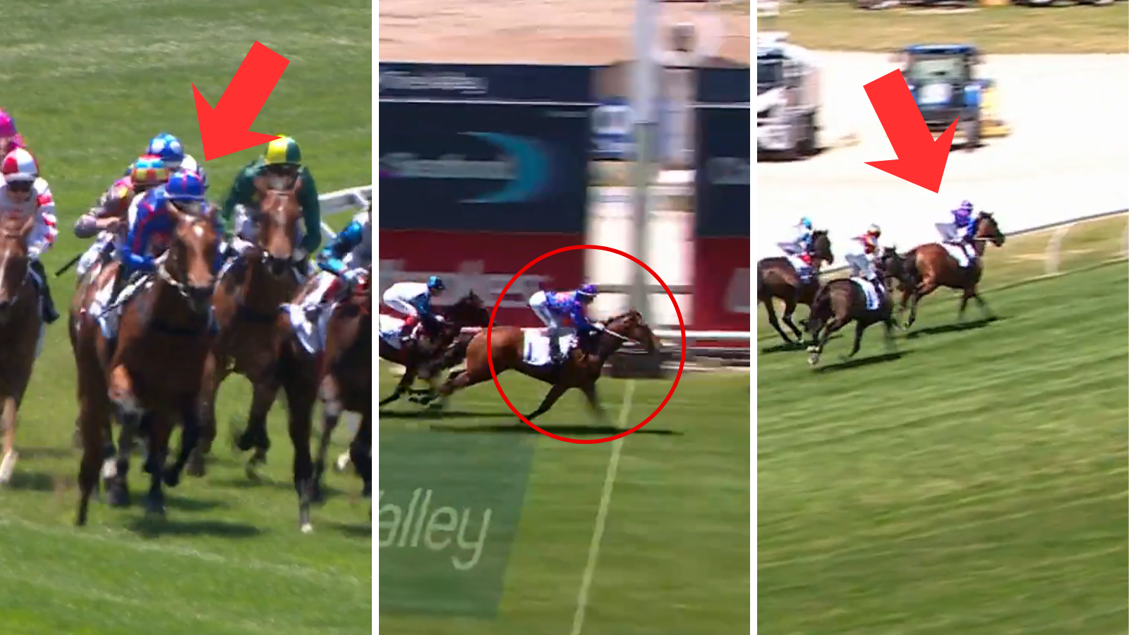 Horse Racing 2026: Blue Diamond; Odds; Favourite; Guest House