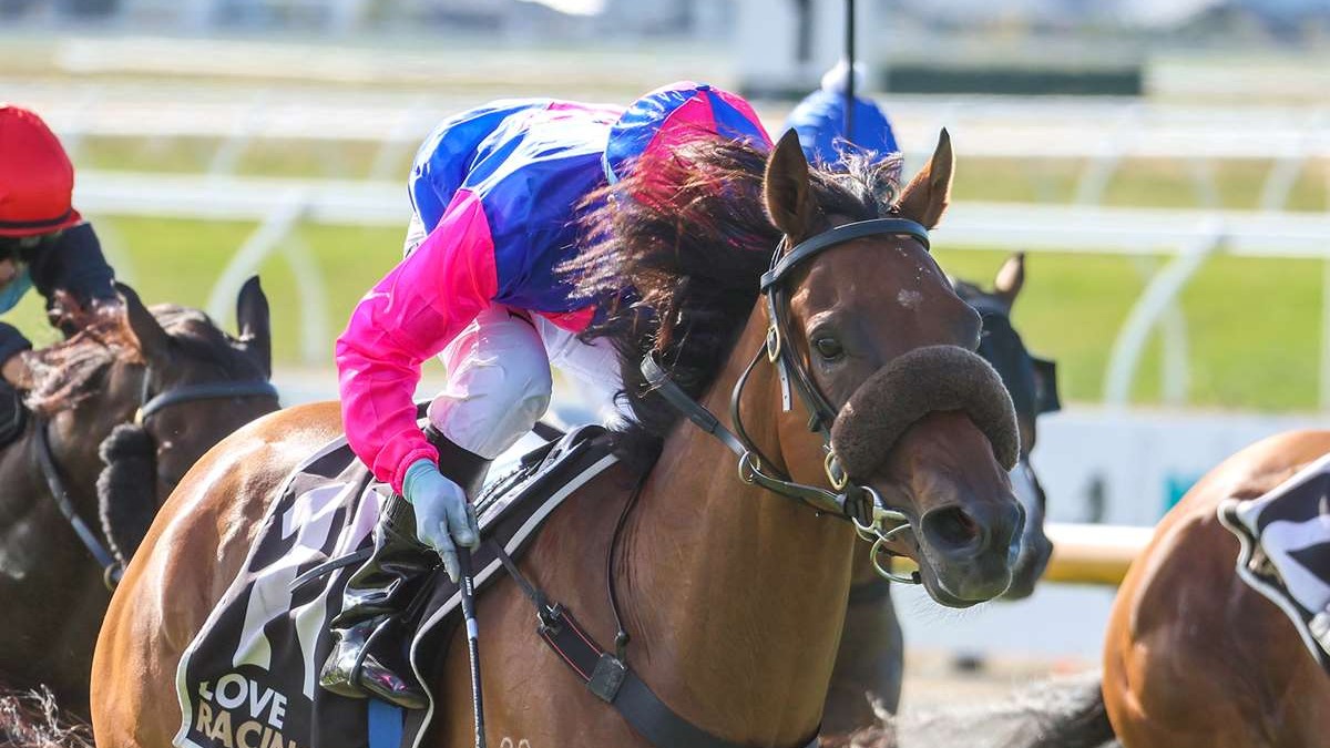 Lochmara Bay seeking breakthrough win