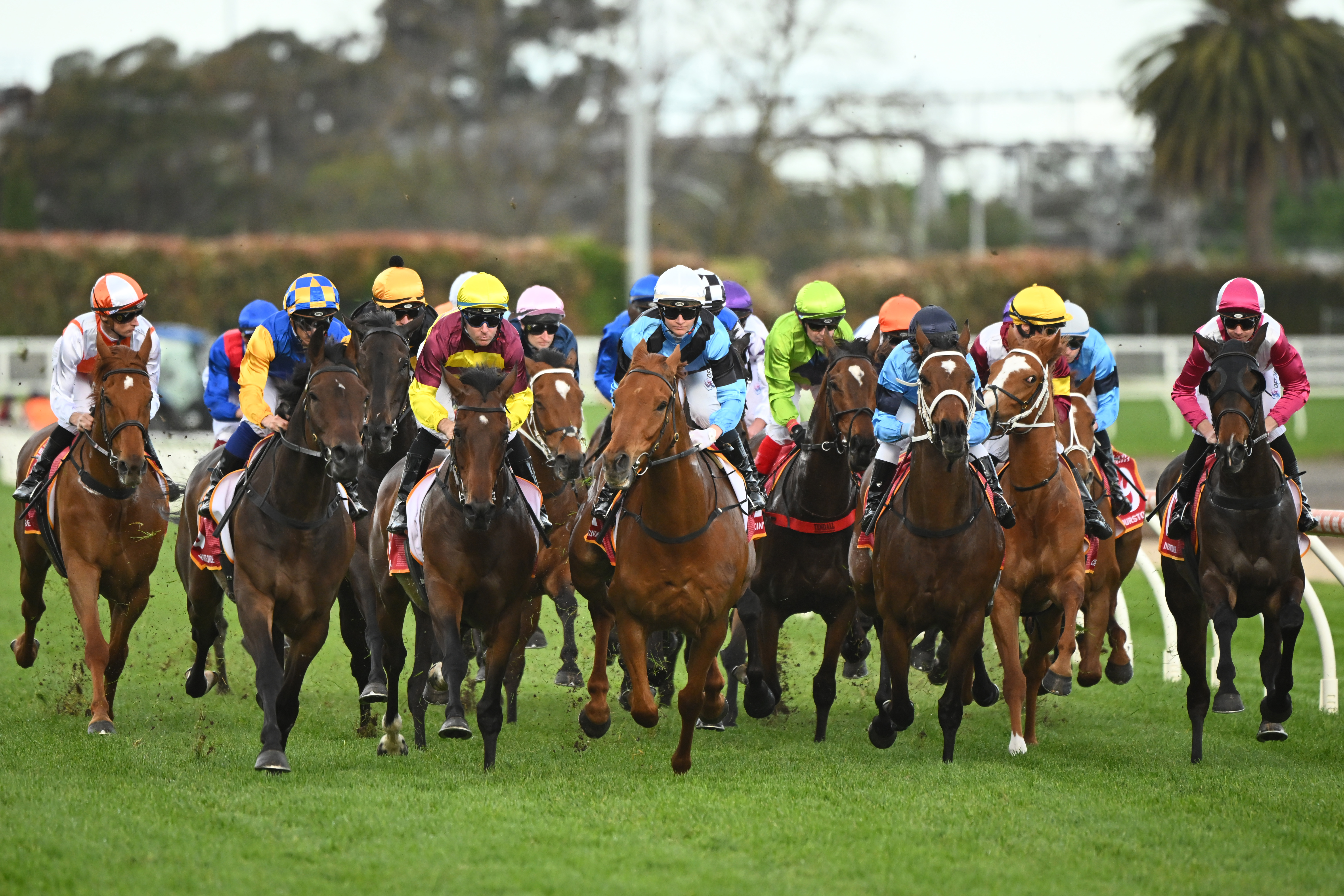 The four-leg Giddy Up racing multi for Saturday