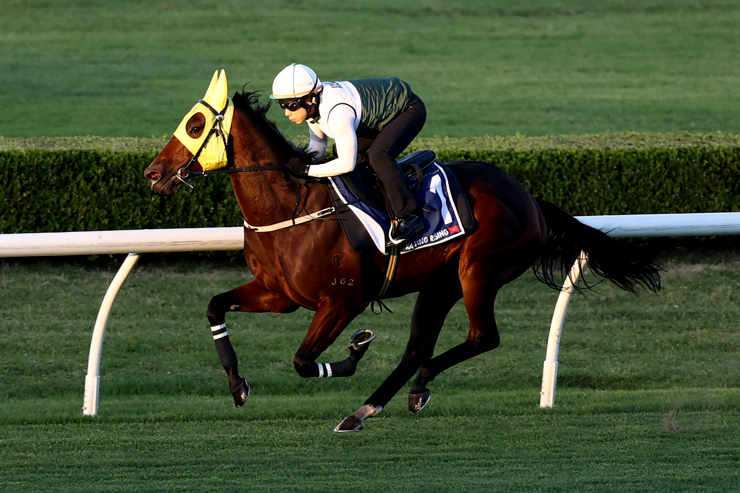 Will Ka Ying Rising run in The Everest? David Hayes horse update