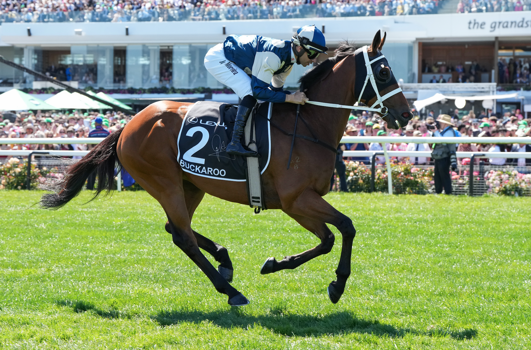 The instructions on Buckaroo and what Moreira told owners after ...