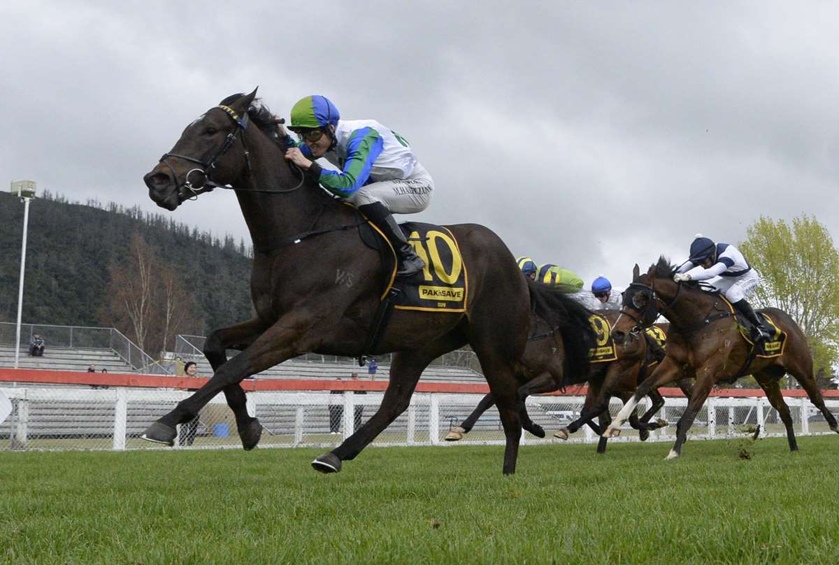 NZB Kiwi contender steps out at Te Rapa