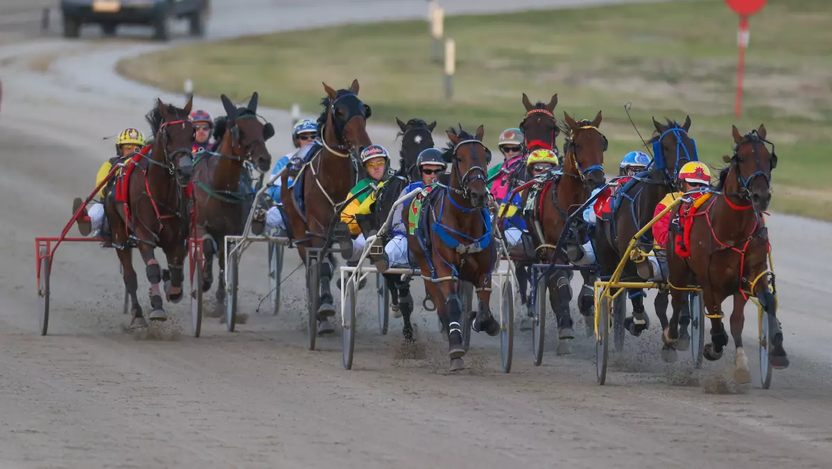 SEN Track: Tim O'Connor's Friday night Harness Racing Tips at Terang ...