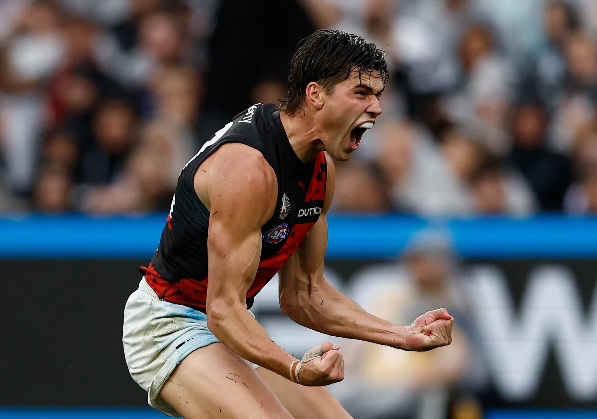 AFL 2025: Champion Data, Essendon top post-clearance