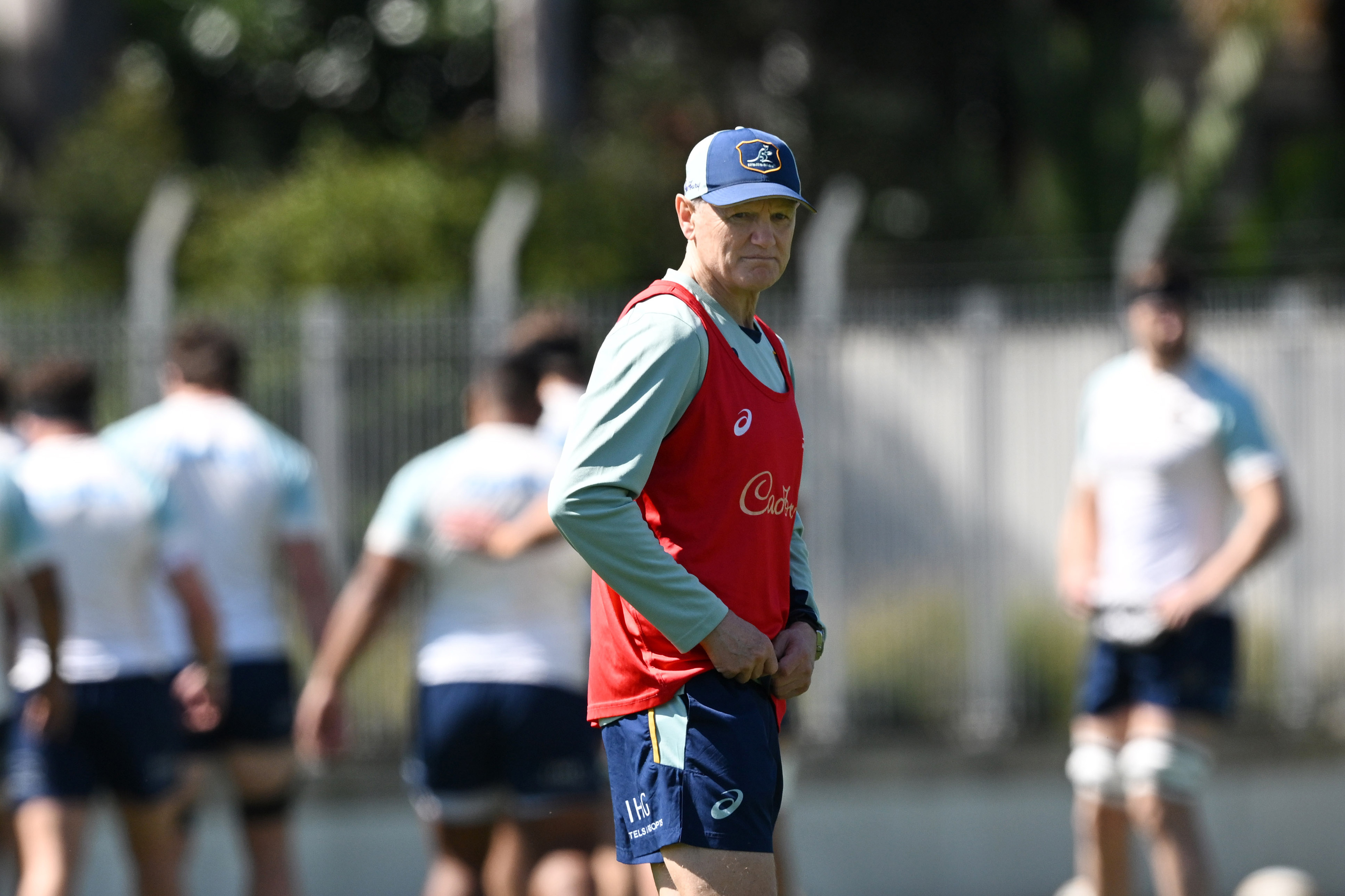 How the wounded Wallabies can defy the odds against the All Blacks in ...