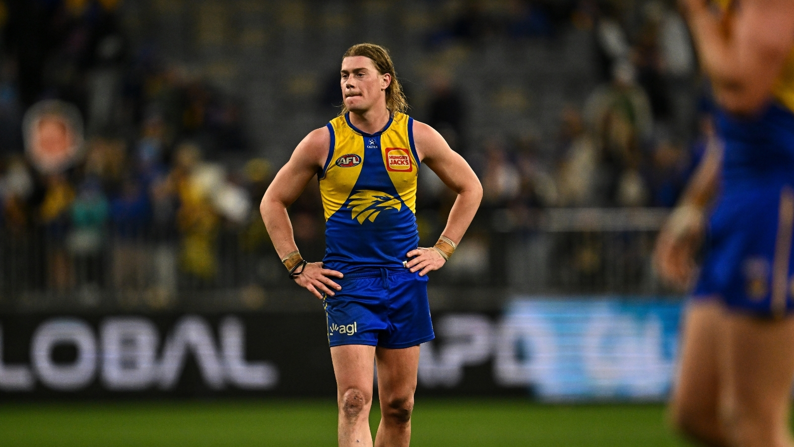 Harley Reid West Coast contract: Nathan Buckley column