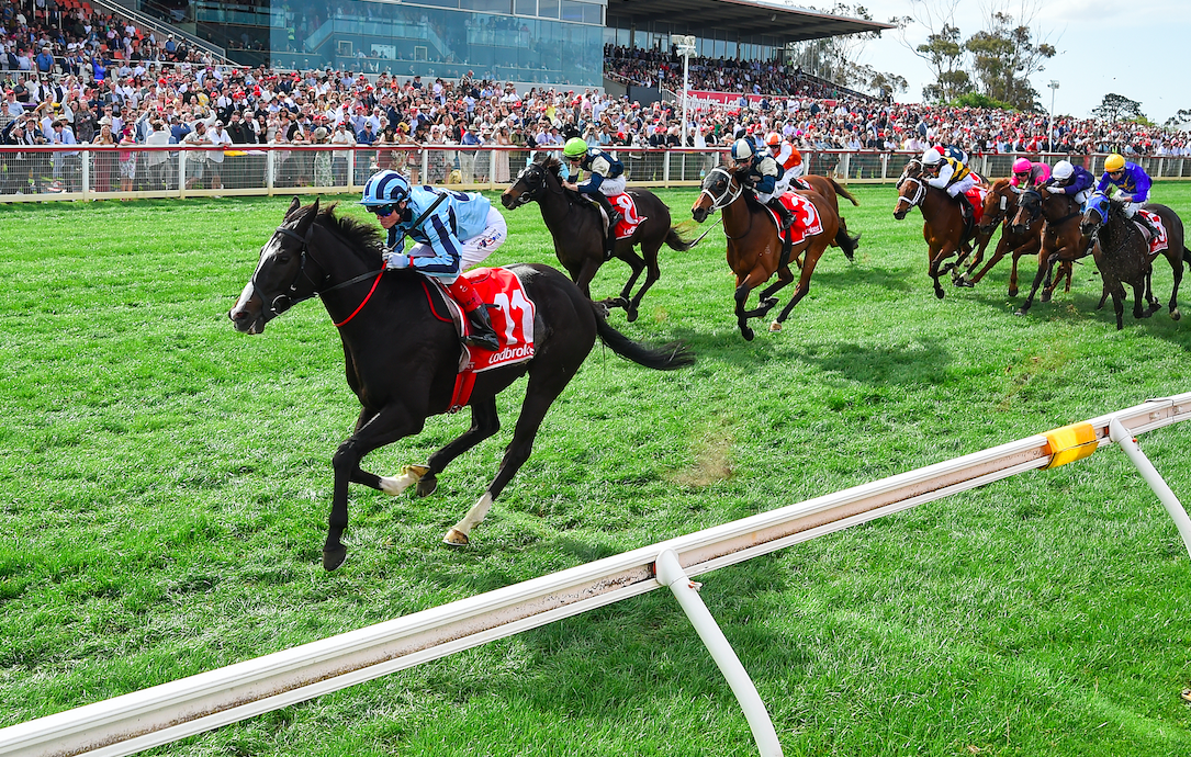 The Midweek Masterclass for Wednesday racing at Geelong, Strathalbyn ...