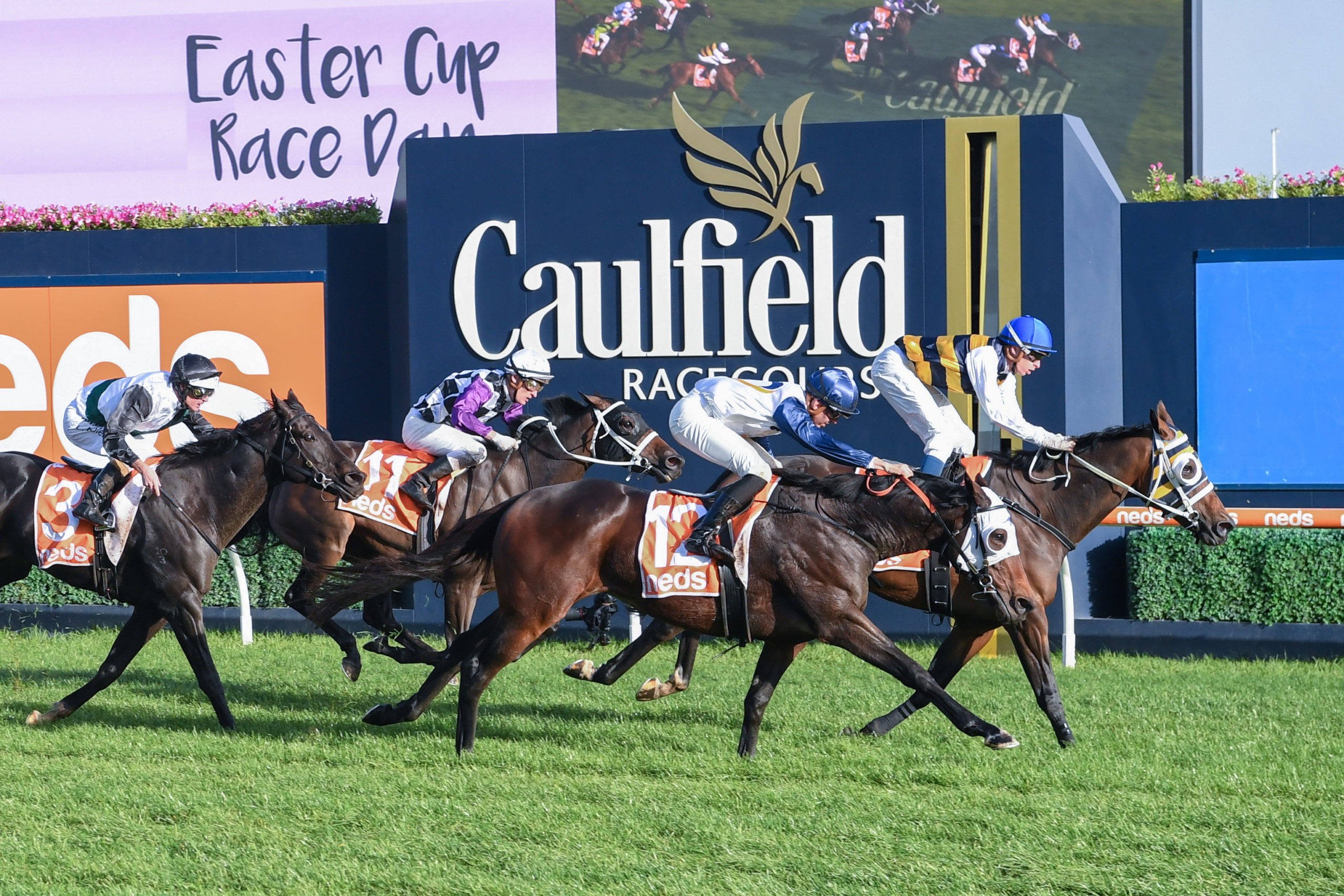Horse racing: Caulfield races guide