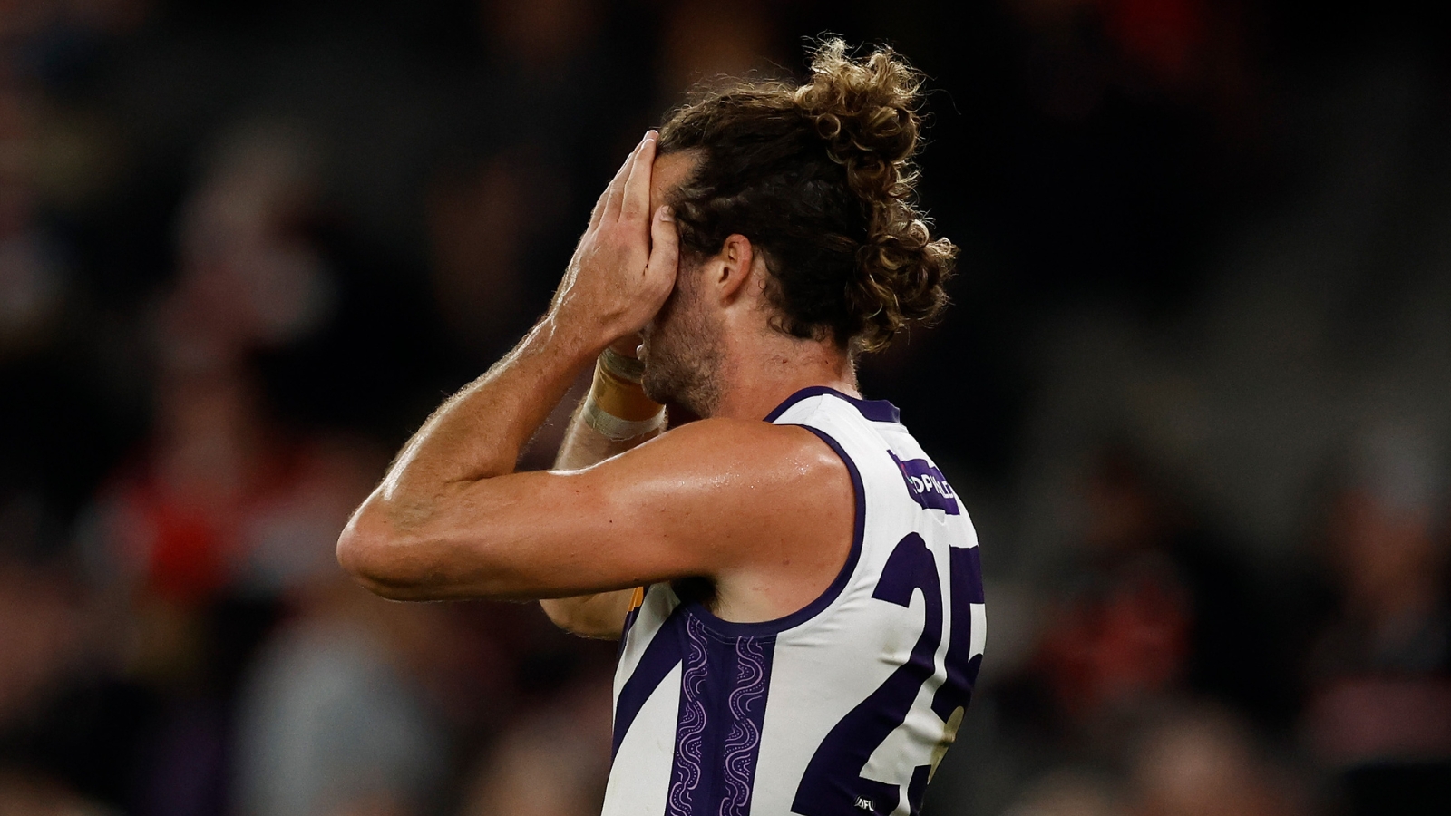 AFL 2025: The things we learned in Round 8