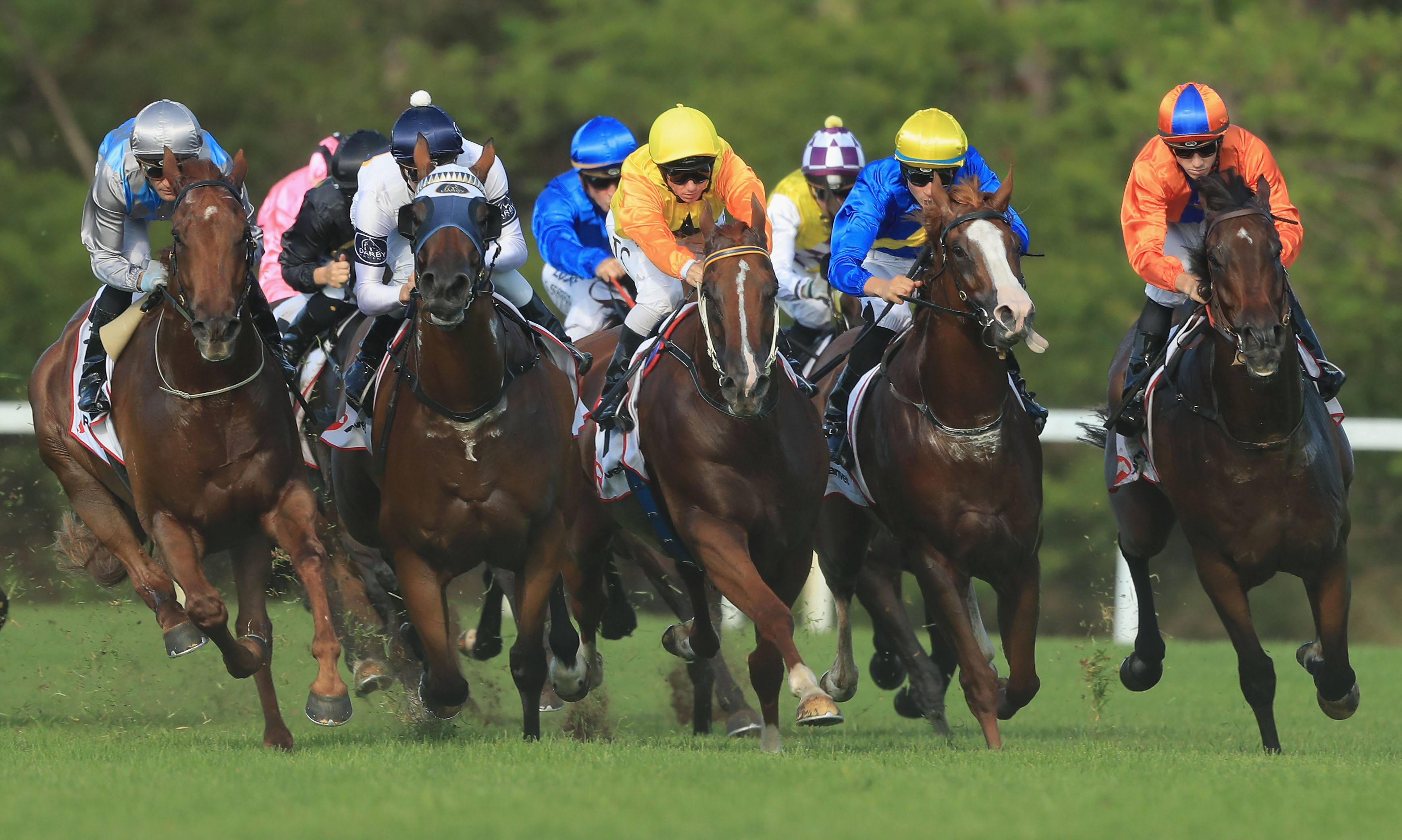 The Midweek Masterclass for Wednesday racing at Warwick Farm, Sandown ...