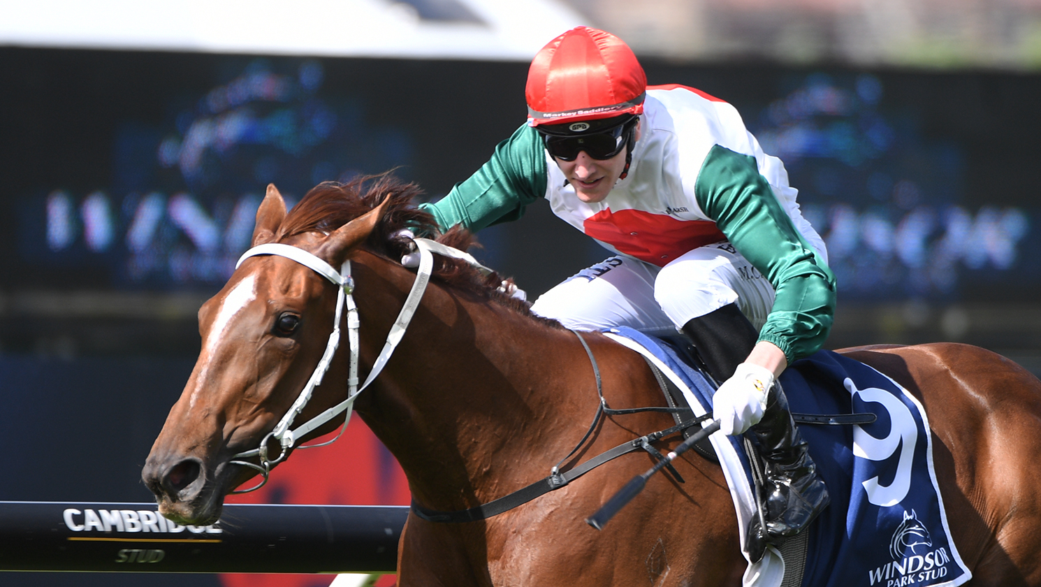 Well Written dominates Soliloquy Stakes